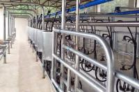 China herringbone type 5T/h 20 Unit Milking Parlour Low Noise Automatic Milking Parlour for sale