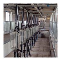 China Cow 60 points Herringbone Milking Parlor Automatic Clean for sale