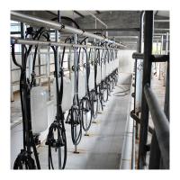 China Big 110v 20 Stalls Herringbone Milk Parlor For Cow Milking for sale