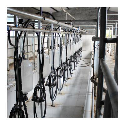 China Big 110v 20 Stalls Herringbone Milk Parlor For Cow Milking for sale