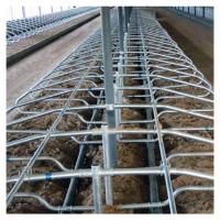 China Animal Single Type Free Stall Barn Hot Dip Galvanized Pipe for sale