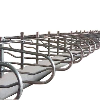 China Cattle 9JY Type Acid Proof Free Stall Dairy Barn for Livestock for sale