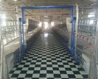 China 11kw Vacuum 3800L Parallel Parlor Milking Systems 128 Cows Per Hours for sale
