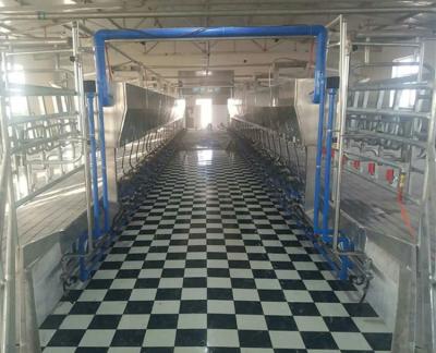 China 11kw Vacuum 3800L Parallel Parlor Milking Systems 128 Cows Per Hours for sale