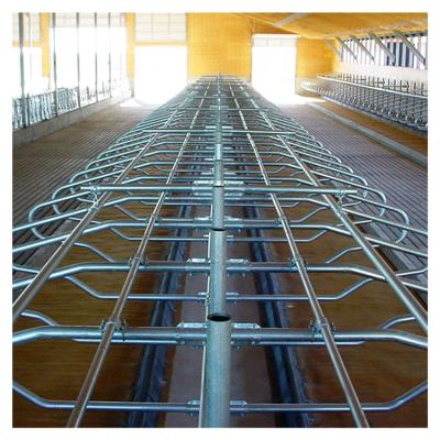 China Length 2.3m Cow Free Stall Barn Sliver Color Double Sided for sale