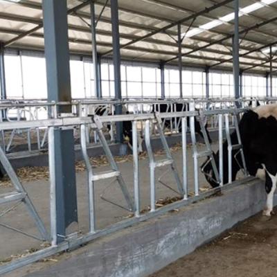 China 0.4m/Cow Cow Head Lock for sale