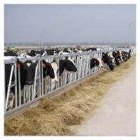 China 1.2m/Cow Cow Head Lock for sale
