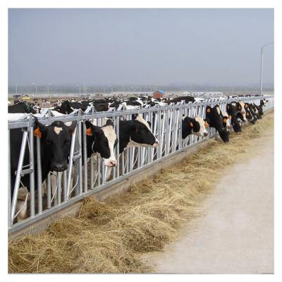 China 1.2m/Cow Cow Head Lock for sale