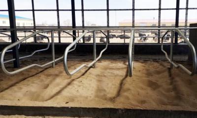 China Anti Corrosion Free Stall Barn for sale