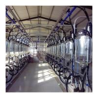 China Electronic 2300L/min Goat Milking Parlor Fish Bone Type for sale