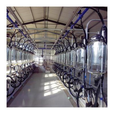 China Electronic 2300L/min Goat Milking Parlor Fish Bone Type for sale