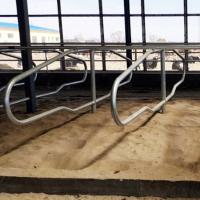 China Stainless Steel Galvanized Pipe Free Stalls For Cows Single Row Style for sale
