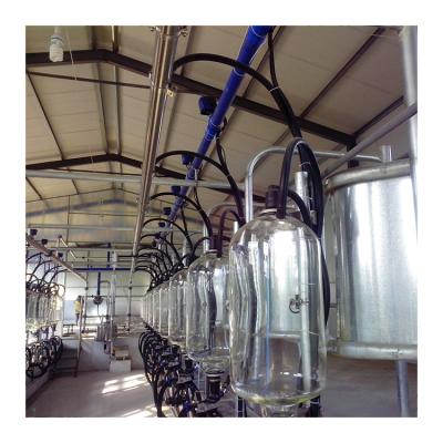 China SS304 Herringbone Milking Hall PVC pipeline Parallel Milking Parlor for sale