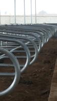 China Stainless Steel two side cow free stall Anti Corrosion for sale
