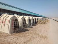 China Livestock ISO Plastic Calf Shelters Poly Dome Calf Hutch for sale