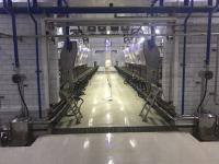 China Electronic Metrology Herringbone Milking Parlor Automatic Cow Machine for sale