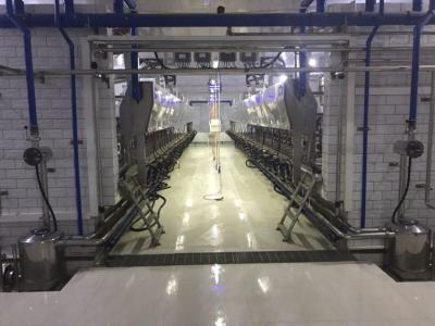 China Electronic Metrology Herringbone Milking Parlor Automatic Cow Machine for sale