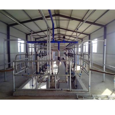 China SS304 Herringbone Parlour Milking Systems Dairy Cow Equipment for sale