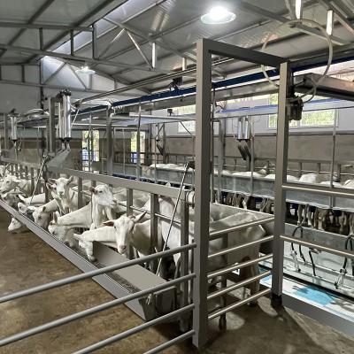 China Farms Dairy High Productivity Milking Parlor Equipment Flexible Goat Milking Parlor for sale