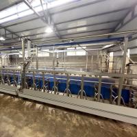 China SUS304 Goat Herringbone Milking Parlor Feeding Trough Quick Exit Type Pipeline for sale