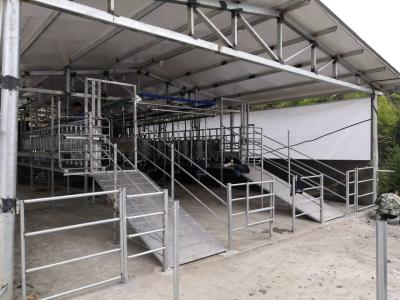 China SS304 Goat Milking Parlor Milking Systems Dairy Goat Equipment for sale