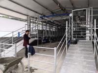 China Dairy Farm Goat Milking Machines Stainless Steel Milking System for sale