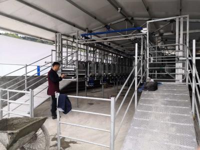 China Dairy Farm Goat Milking Machines Stainless Steel Milking System for sale
