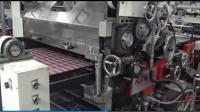 China Good Quality New Coating Machine For Tinplate Sheet Varnishing for sale