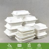 China Biodegradable Sugarcane Bagasse Food Containers 500 Pieces Oven Safe Customizable for sale