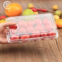 China Recyclable Clear Plastic Clamshell Containers 17.5x14x7cm for Fruits Vegetables Secure Lock Stackable for sale