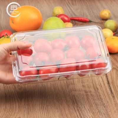 China Recyclable Clear Plastic Clamshell Containers 17.5x14x7cm for Fruits Vegetables Secure Lock Stackable for sale
