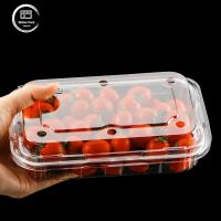 China Recyclable Clear Plastic Clamshell Containers 17.5x14x7cm for Fruits Vegetables Secure Lock Stackable for sale