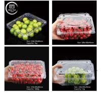 China Recyclable Clear Plastic Clamshell Containers 17.5x14x7cm for Fruits Vegetables Secure Lock Stackable for sale