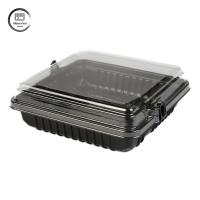 China Small Square PET Disposable Plastic Food Containers with Stackable Design for Restaurant Takeaway for sale