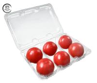 China Disposable Blister Tomato Container 6 Piece Rectangular Plastic Fruit Packaging Box 270x180x80mm for sale