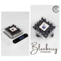 China 125g RPET Blueberry Clamshell Containers Transparent Fruit Packaging Boxes Durable for sale