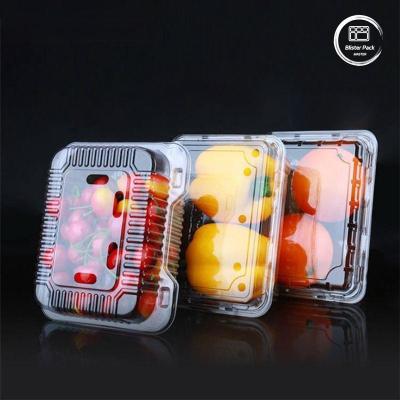 China OEM Clear PET Clamshell Disposable Fruit Tray Vegetable Container 500ml Food Grade for sale