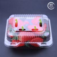 China OEM Clear PET Clamshell Disposable Fruit Tray Vegetable Container 500ml Food Grade for sale