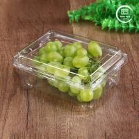 China OEM Clear PET Clamshell Disposable Fruit Tray Vegetable Container 500ml Food Grade for sale