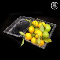 China Corrugated Plastic  Fruit And Vegetable Trays Containers  Storage Sturdy Reusable Shipping Boxes for sale