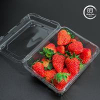 China Clear Plastic Clamshell Food Containers for Fruit Vegetable and Meat Packaging for sale