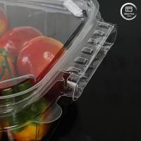 China Eco Friendly 16 oz 24 oz Salad Containers with Attached Lids Disposable Fresh Produce for sale