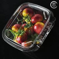 China Eco Friendly 16 oz 24 oz Salad Containers with Attached Lids Disposable Fresh Produce for sale