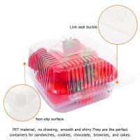 China Grapes Lychees & Cherries PET Clamshell Food Containers Transparent Plastic Boxes for sale