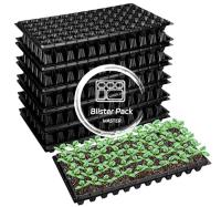 China 72 Cell Seedling Starter Tray 54x28cm Eco-Friendly Plastic Cultivation Plate for Plant Growing for sale