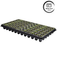 China Polystyrene Hand Throwing Rice Seedling Plastic Tray Extra Deep Seeder With Multiple Hole Options (128 To 648 Cells) for sale