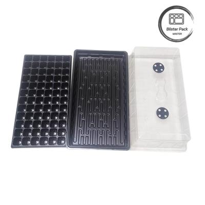 China Economical Plastic Seedling Trays For Tomatoes Efficient Germination System For Seed Starters for sale