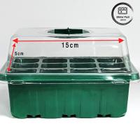 China Multi Functional Indoor Garden Nursery Box Plastic Seedling Trays / 6 Cell Seedling Trays for sale