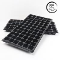 China PET Plastic Seedling Trays 50 to 128 Cells for Vegetable Flower Germination for sale