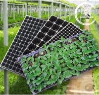 China Durable Multi Cell Seed Germination Trays 21 To 128 Cells For Vegetable & Flower for sale